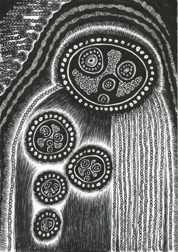 Les Traces Habiles – Accueil