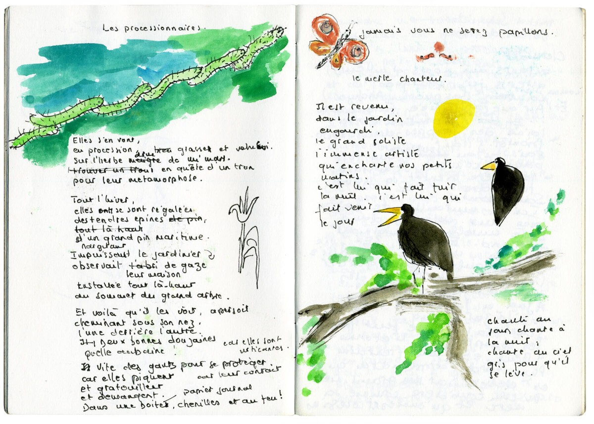 Les Traces Habiles – Marie Sellier