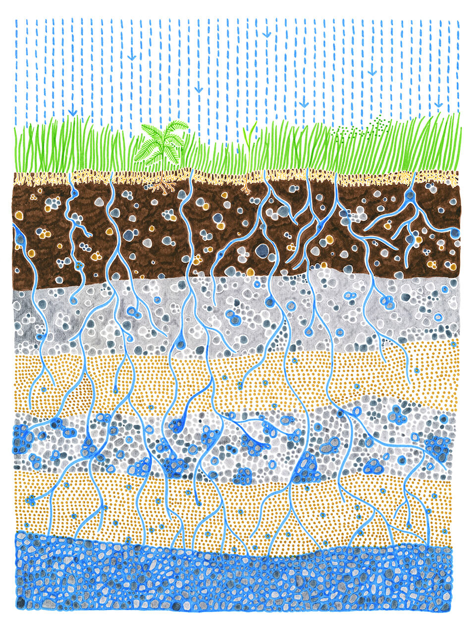 Les Traces Habiles – Dessin de la semaine