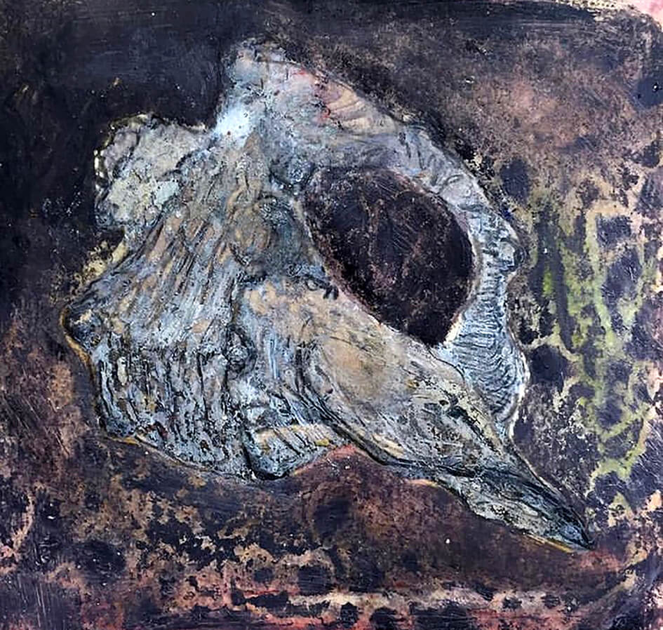 Les Traces Habiles – Dessin de la semaine